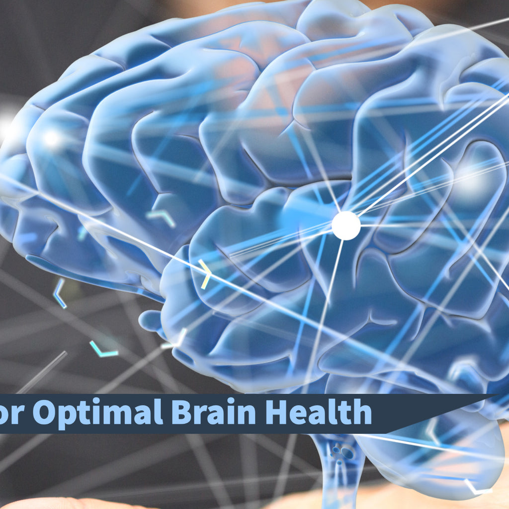 The Best 2 Things You Can do for Brain Health – MSW Nutrition
